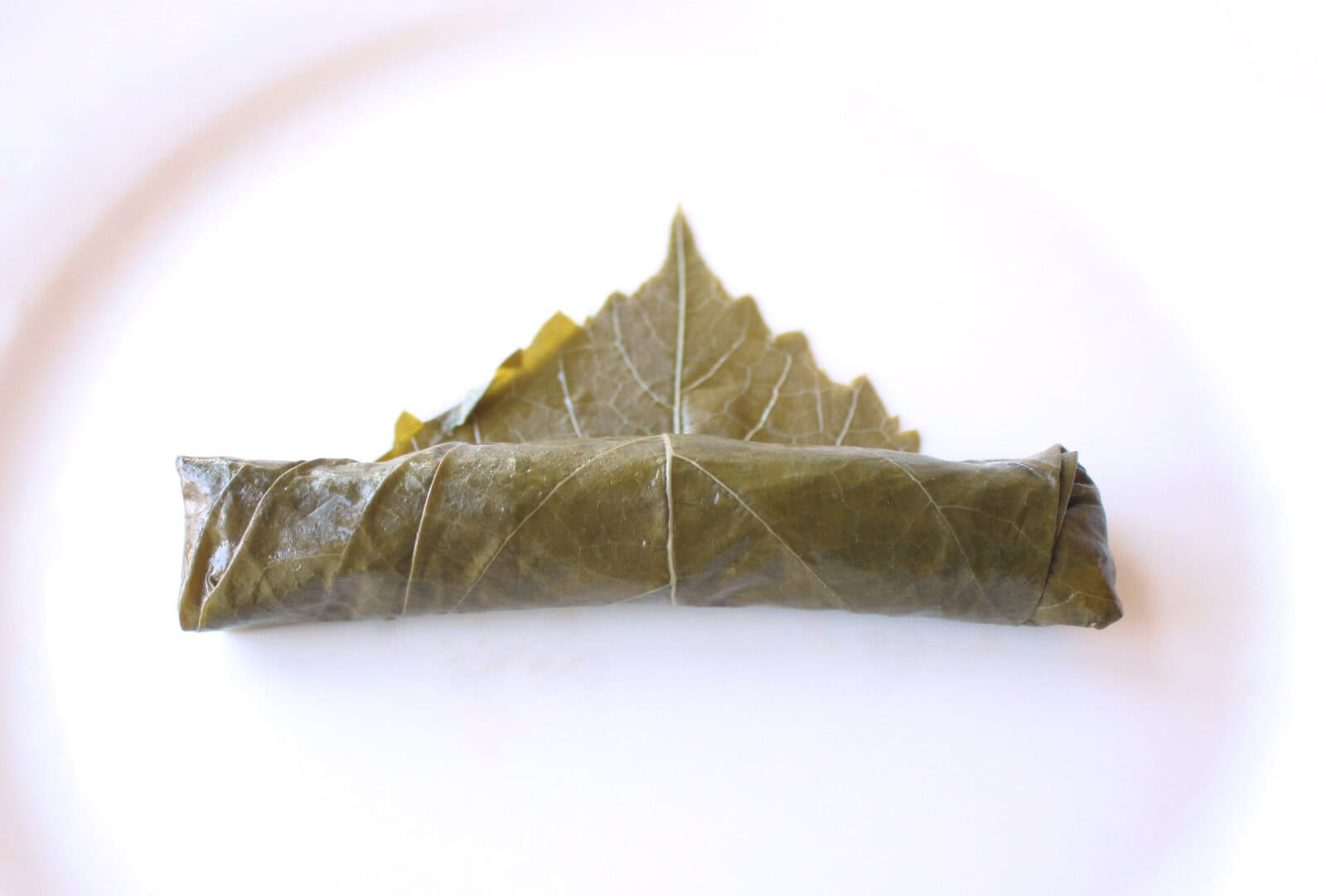 Authentic Yalanji (Dolmas) Stuffed Grape Leaves with Rolling Tutorial ...